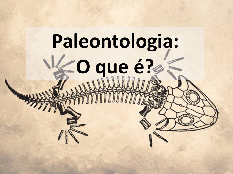 Paleontologia: O que é isso? – Arqueologia e Pré-História